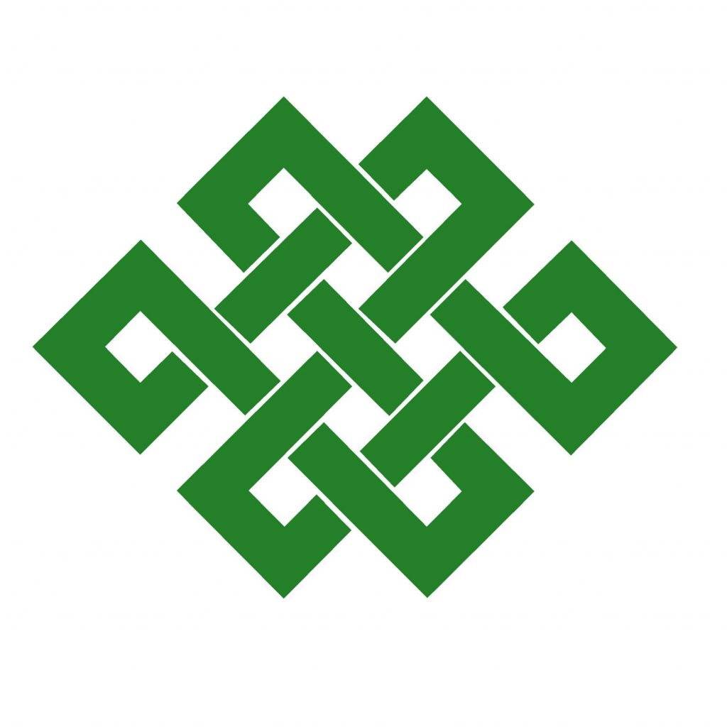 Logo IDDI Horizontal - DominicanaSolidaria.org