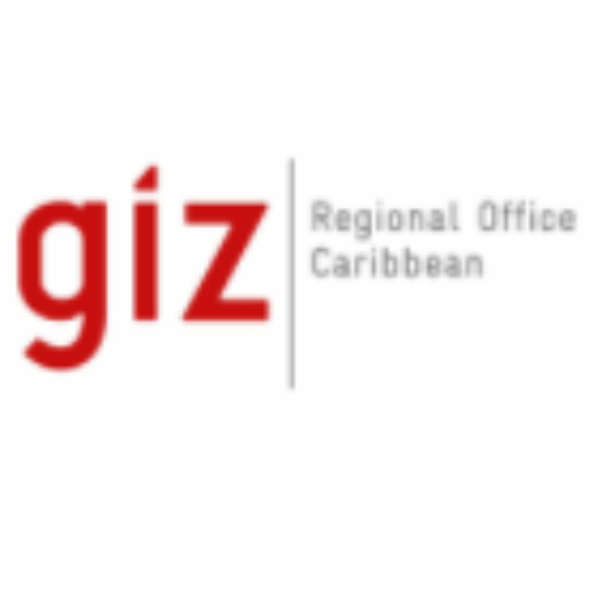giz-logo - DominicanaSolidaria.org