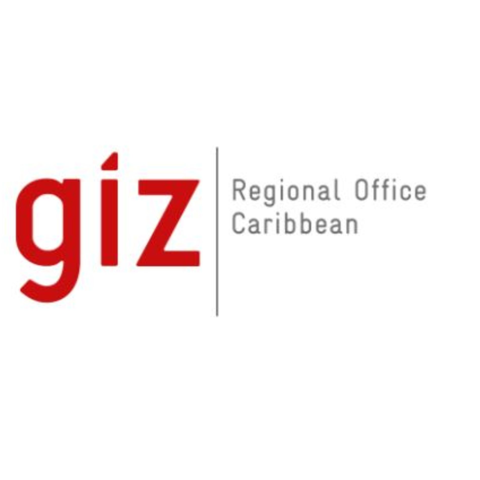 logo-giz - DominicanaSolidaria.org