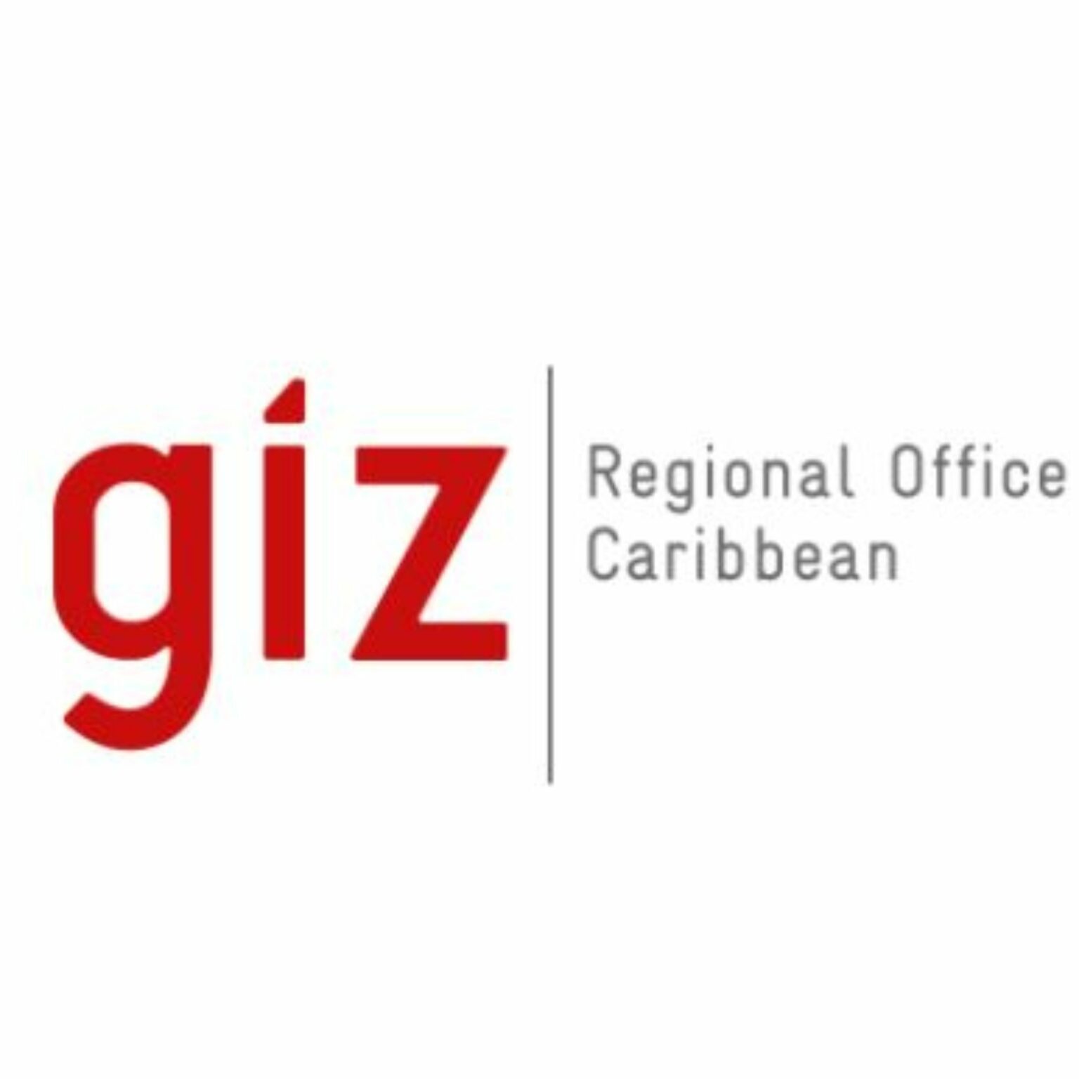 logo-giz - DominicanaSolidaria.org