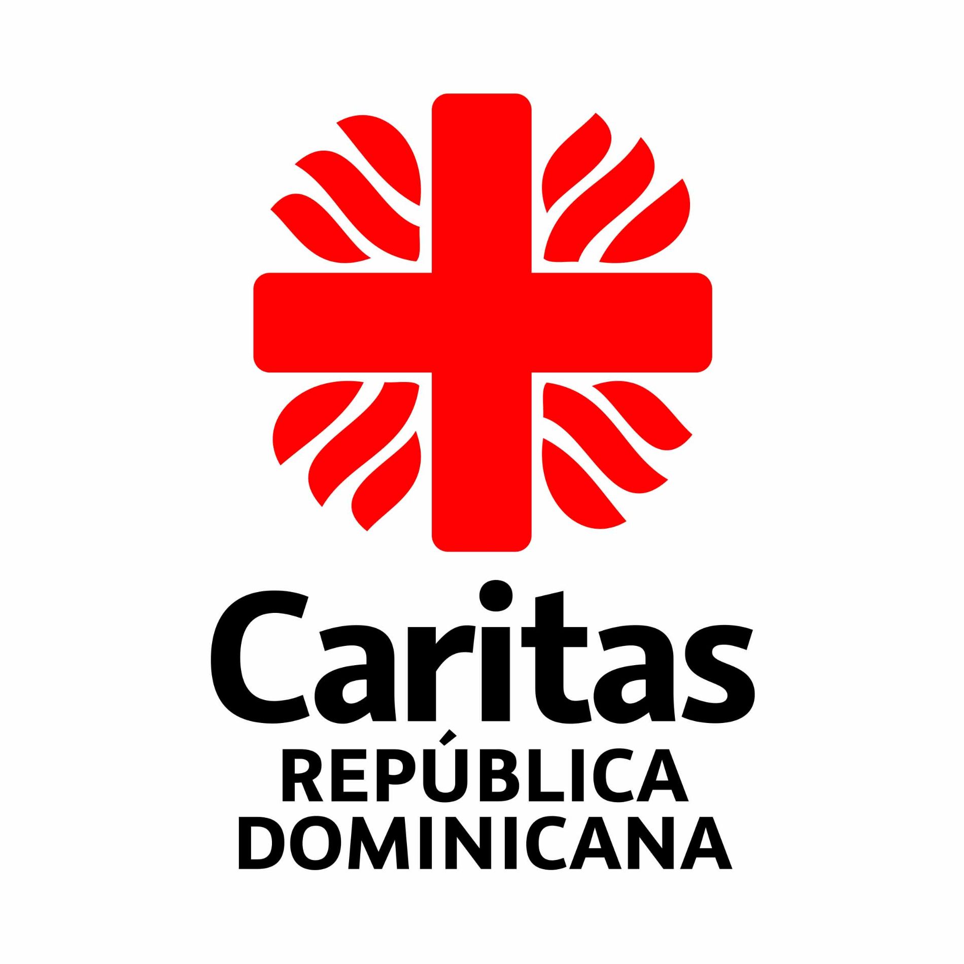 Consultoría para Técnico/a en Gestión y Elaboración de Proyectos ...